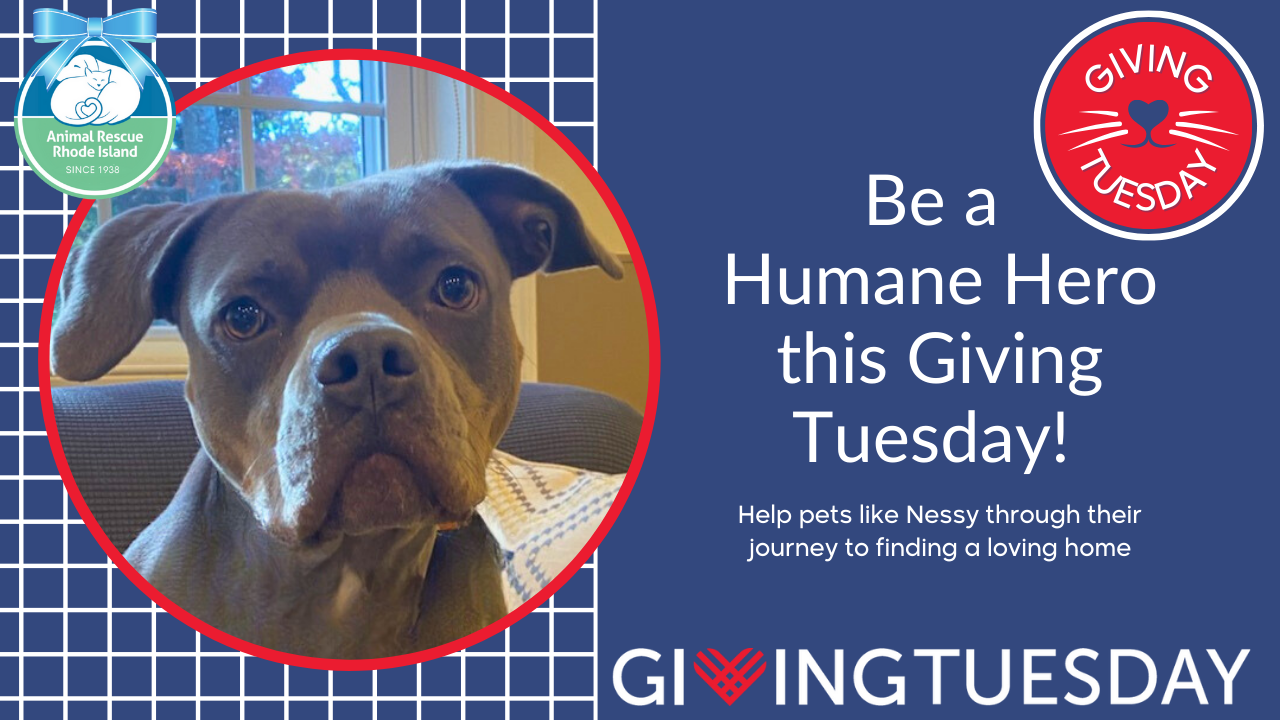 Giving Tuesday 2023