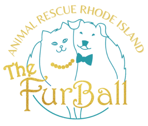 The FurBall